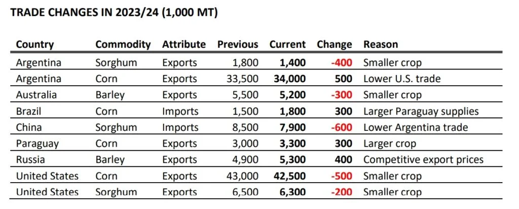 Grain Packing Machines: Key Considerations for Optimal Selection | LintyCo