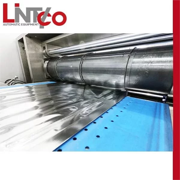Flow Wrapper Machine - Lintyco Packaging Equipment Manufacturer